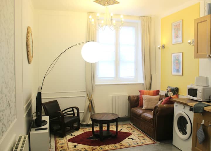 Charmant Appartement Au Cœur De La Ville D'auxerre - Auxerre