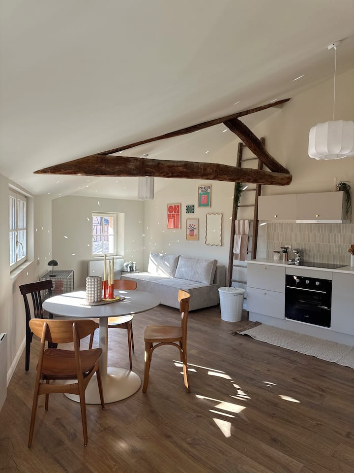 Appartement Au Cœur De Gaillac - Gaillac
