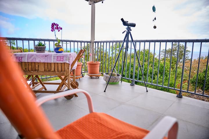 Charmant F1 Avec Belle Vue Mer à 10 Mn De La Plage - Saint-Leu