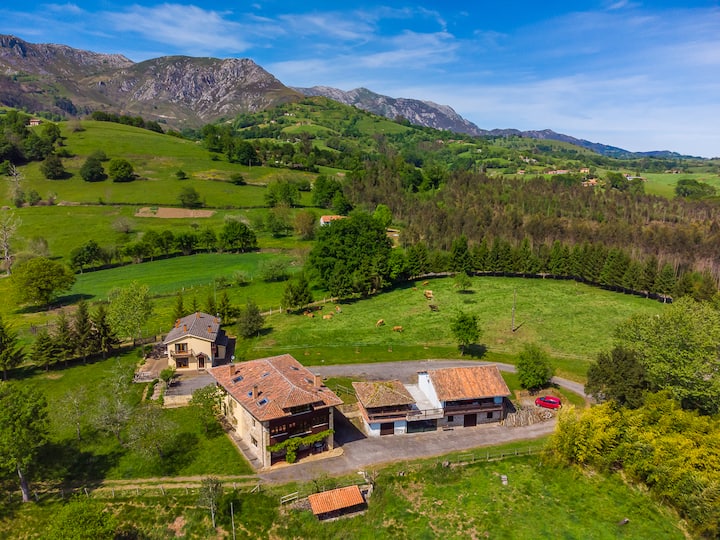 Casona Asturiana Con Jardines Apto. Sup + Central - Villaviciosa