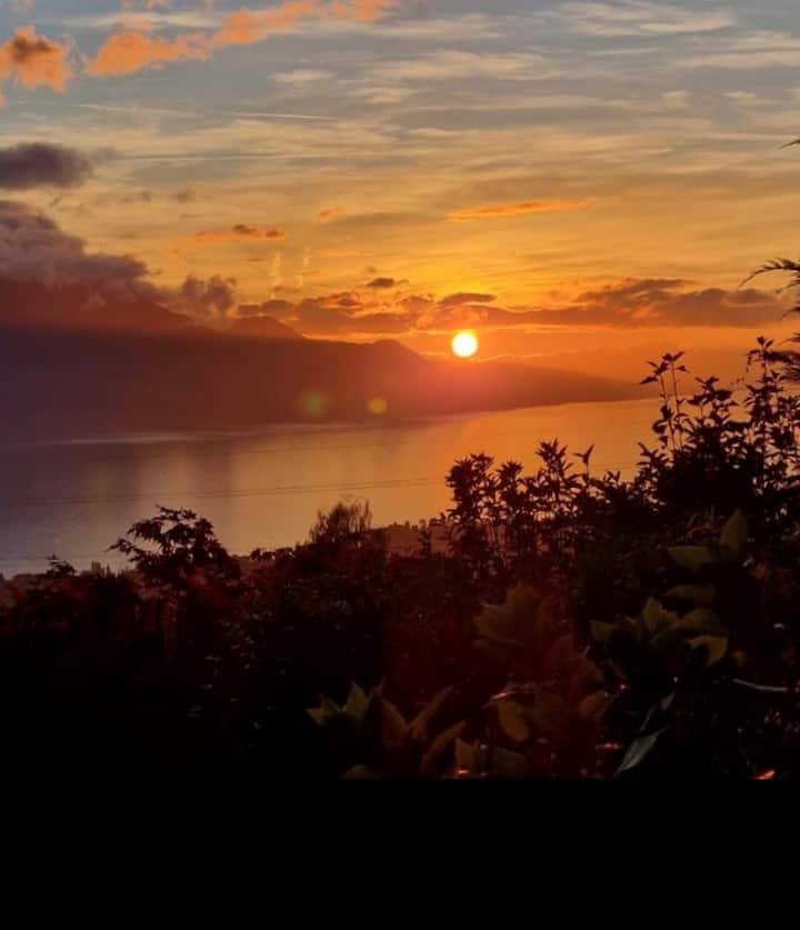 Villa à Blonay – Vue Lac & Montagnes, 5 Chambres - Leysin