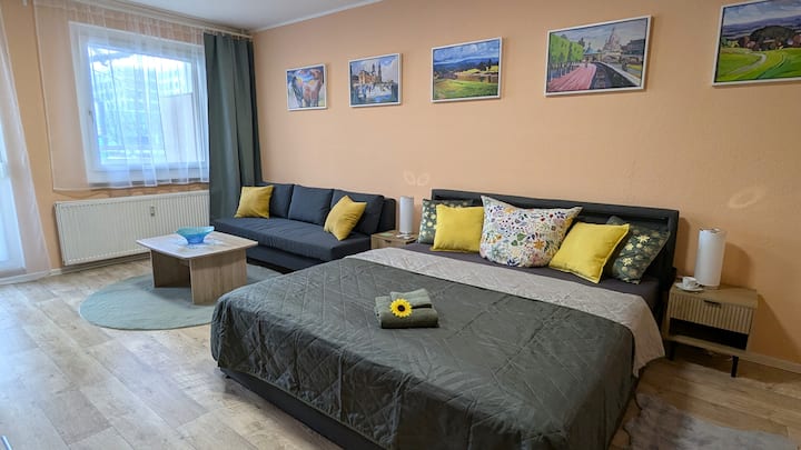 Ruhige Wohnung Nah An Hauptbahnhof Und Uni - Dresde