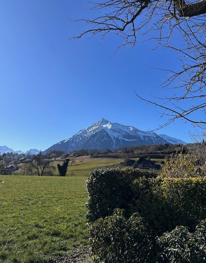 Capobnb, Nh Interlaken, 2min. See, Free Parking - Thun