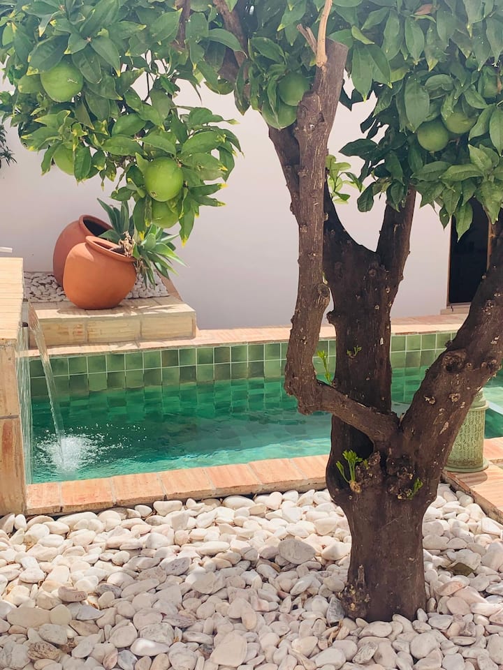 Casa Da Sé Renovated Trad Townhouse W/ Courtyard - Silves