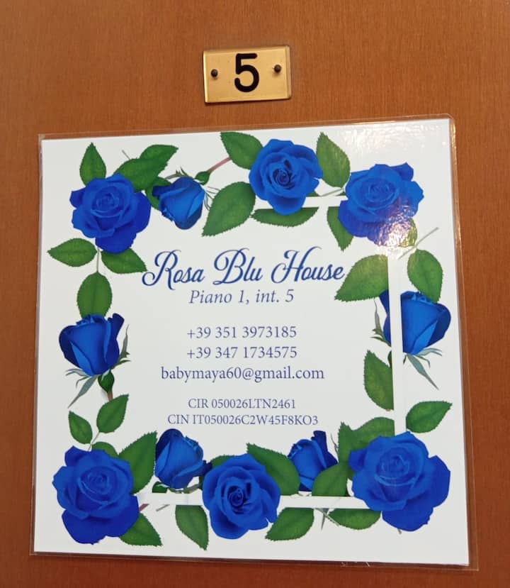 Rosa Blu House Appartamento Cisanello Pisa - Pisa