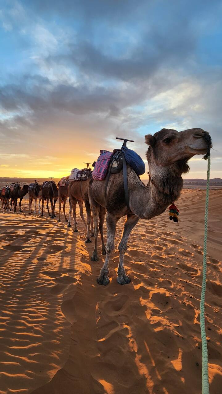 Merzouga Luxury Desert Camp Private Tent+bathroom - Merzouga