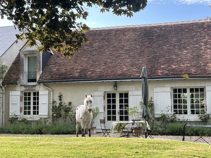 Le Petit ÉBat - Chambre Prestige - Vue Traversante - Cheverny