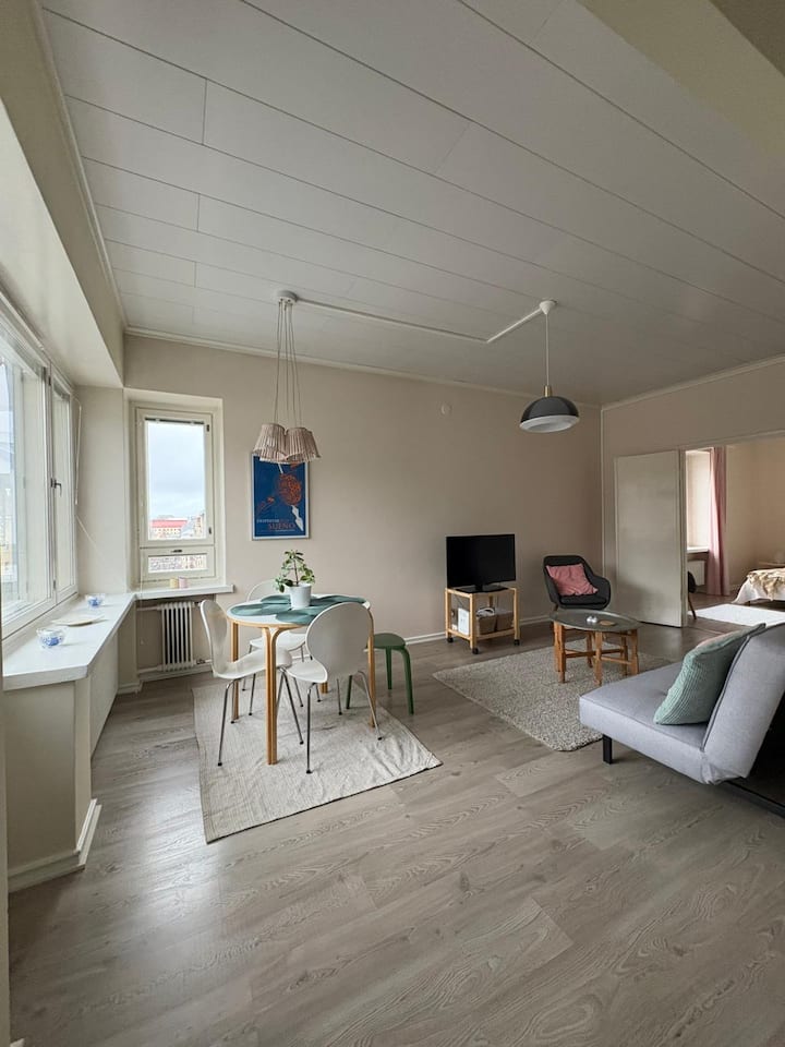 Spacious Top Floor Home - Helsinki