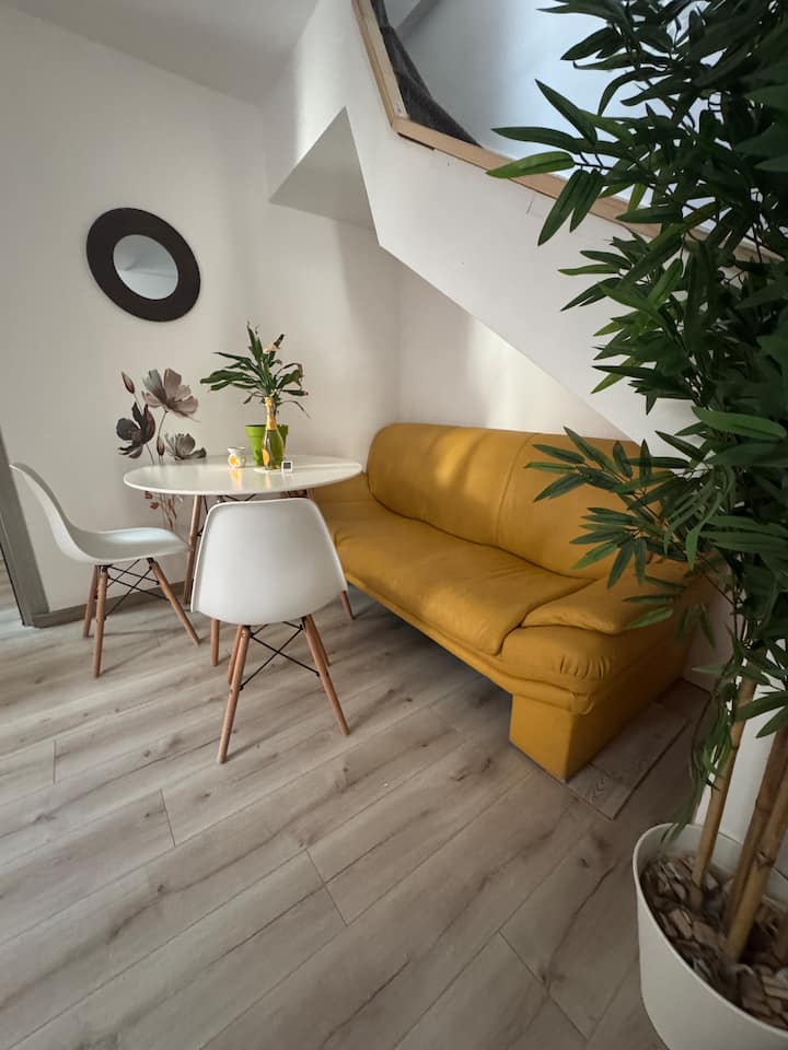 Free Parking 4 Rooms Central House - Bucharest