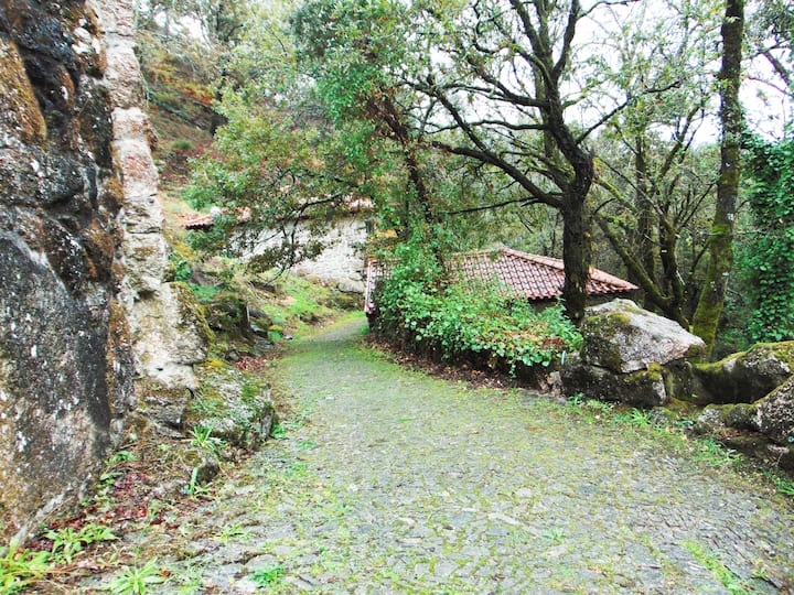 Pet-friendly House In Nature - Fafe