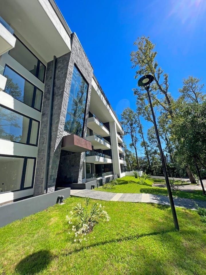 Espacioso Y Familiar Depto. - Pucón