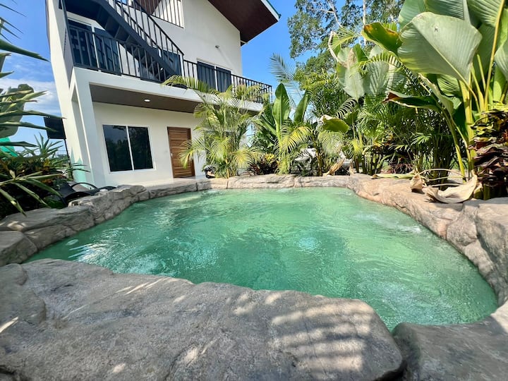 Mariposa Morada Near Arenal - La Fortuna