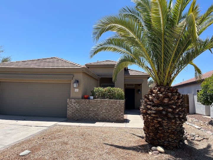 Tropical Desert Oasis - Gilbert, AZ