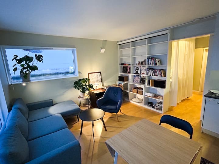 Toppetasje Leilighet Sentralt I Tromsø Sentrum - Tromsø