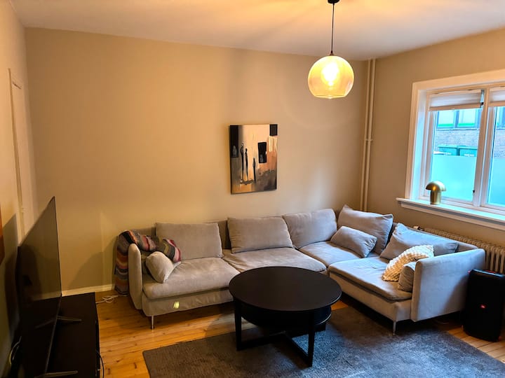 Toromslelighet På Tøyen - Oslo