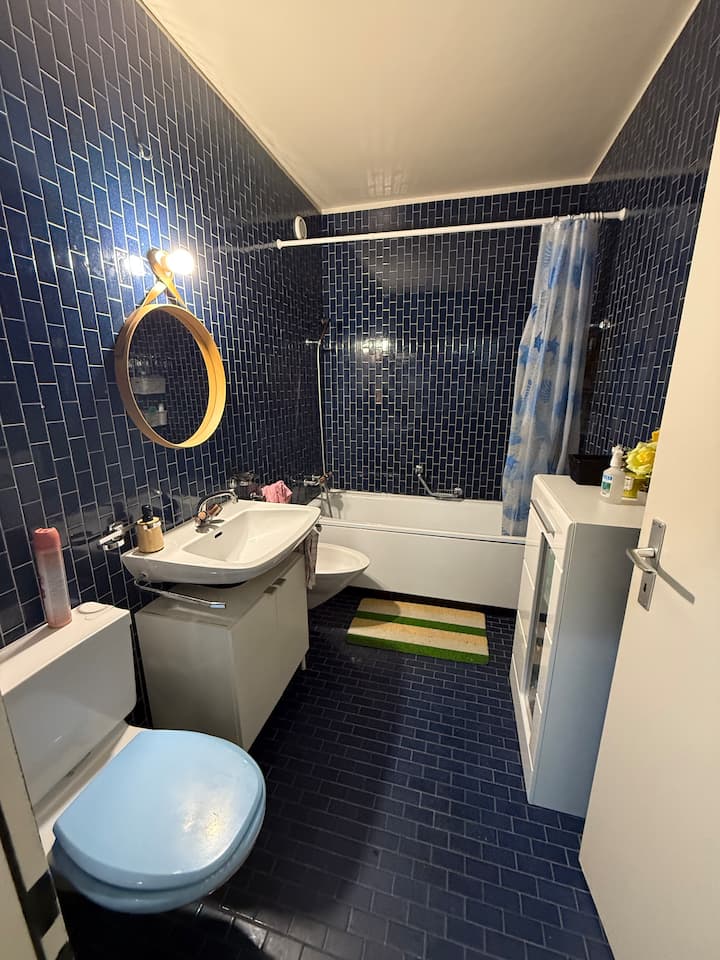 Chambre Chez L Habitant 
Au Pied Du Lac2 - Genève