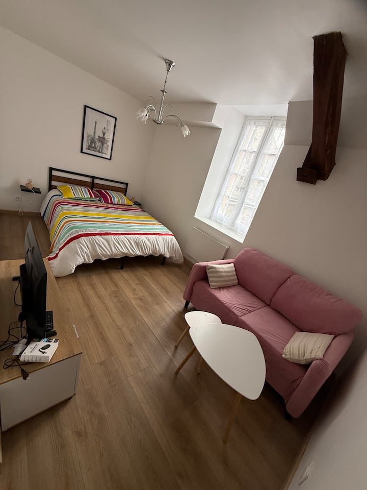 Un Petit Nid Au Coeur De La Ville - Autun