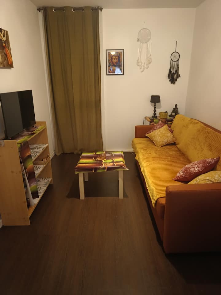 Type Studio Chez L'habitant - Mulhouse