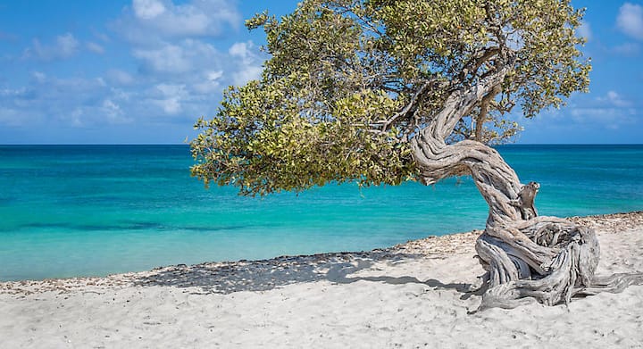 La Cabana Aruba Resort And Casino 1br - 荷屬阿魯巴