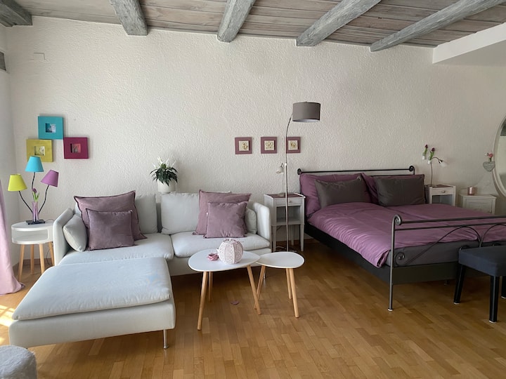Joline Private Guest Apartment Studio "Home" - Biel