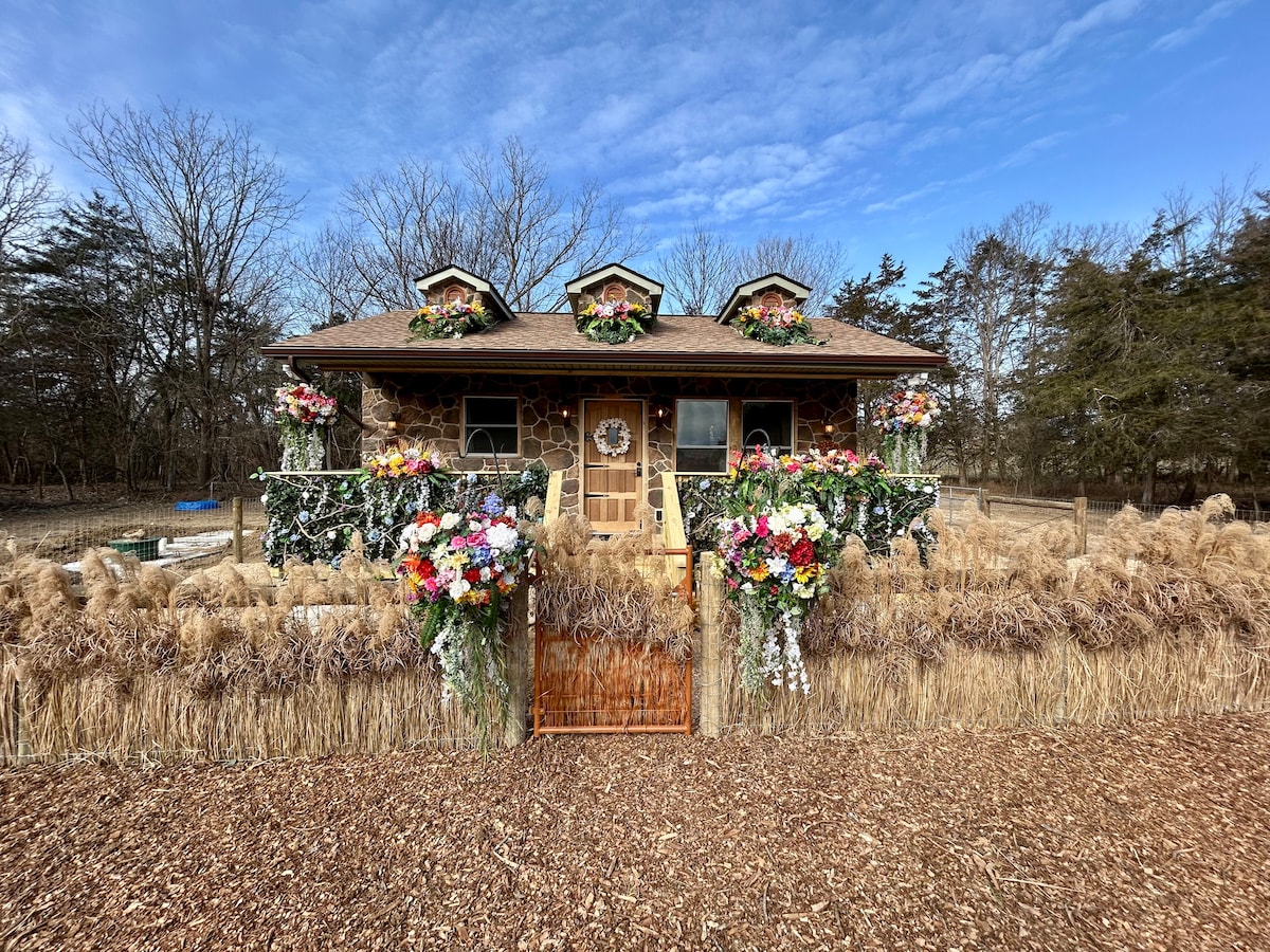 Bienvenue à The Cozy Nanny! Votre conte de fées vous attend! - Micro ...