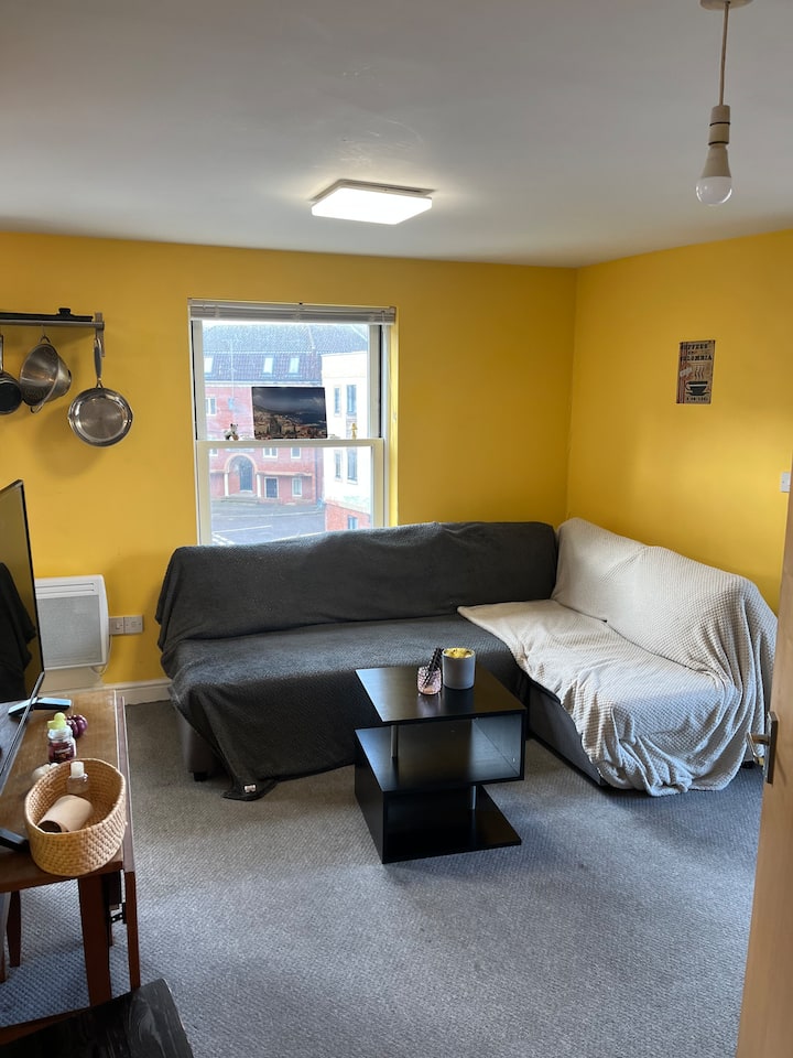 Whole Apartment Bristol City Centre - Brístol