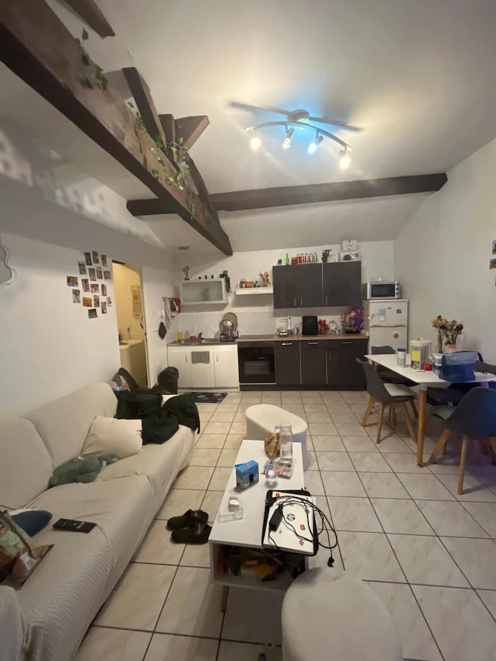 Petite Maison Entre Les Vignes - Vallet