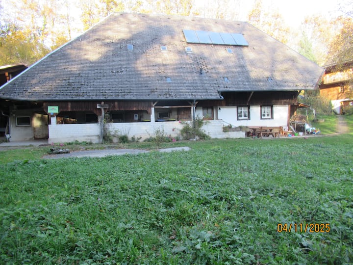 Erdgeschosswohnung Pfisterhof - Kirchzarten