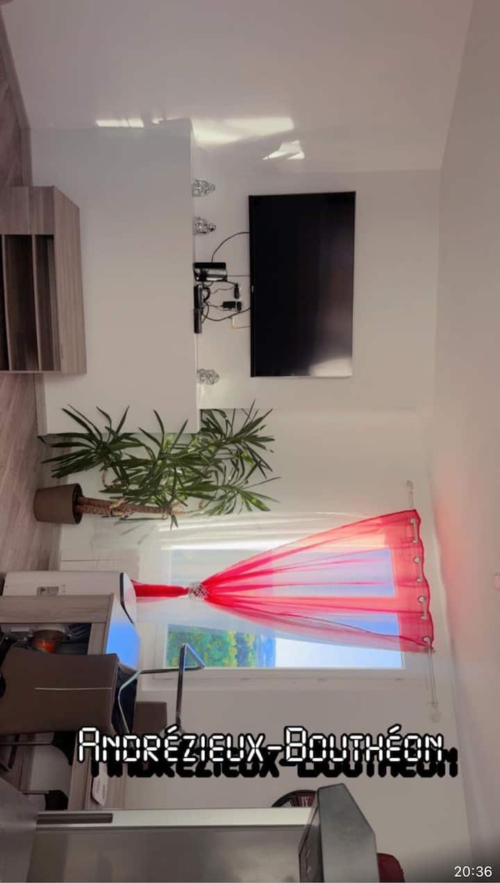 Appartement 1chambre Au Calme Andrezieux-boutheon - Andrézieux-Bouthéon