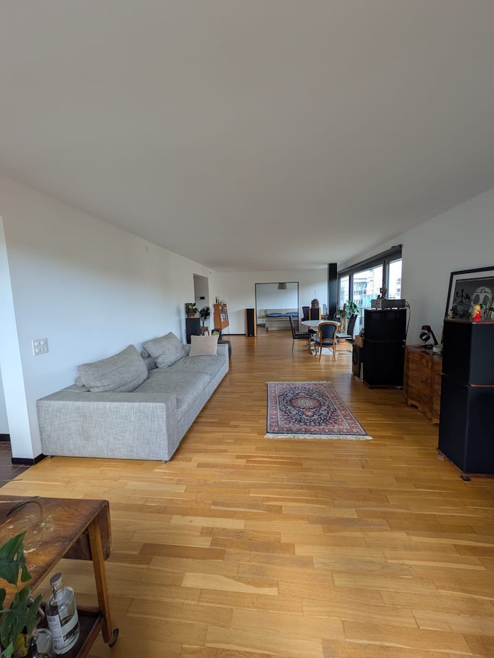 Spacious And Bright Flat - Zürich
