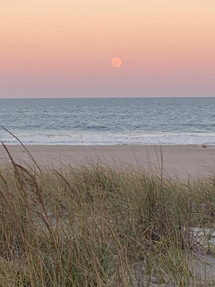 Seaside Heights Pelican Island - Lavallette, NJ