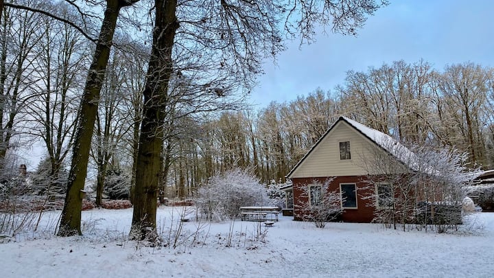 Cottage In The Woods With Woodstove - Deventer