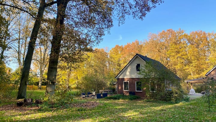 Cottage In The Woods With Woodstove - Deventer