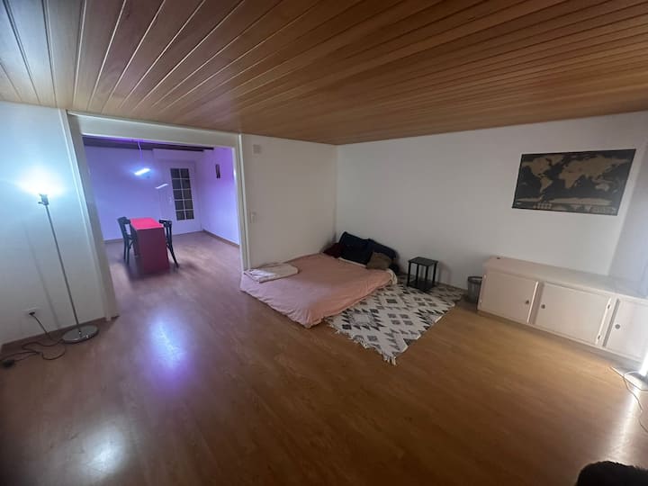 Appart En Centre-ville, à 5 Minutes De La Gare. - Fribourg