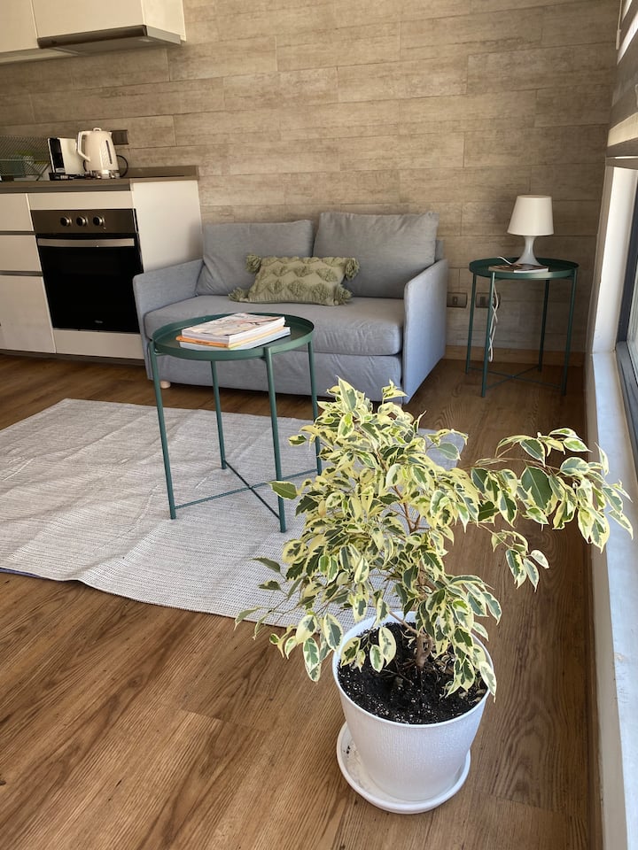 ÑUñoa. 1d 1b 3pax. A 2 Cuadras Del Metro, Piscina - Las Condes