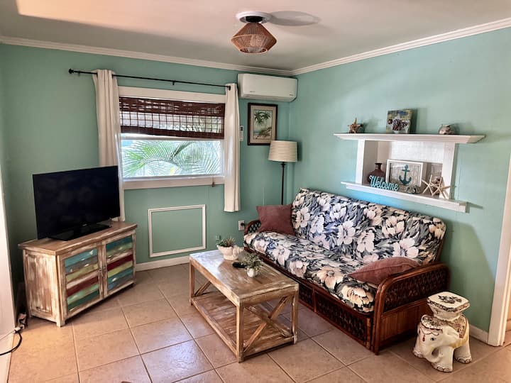 The Lassing House - St. Petersburg, FL