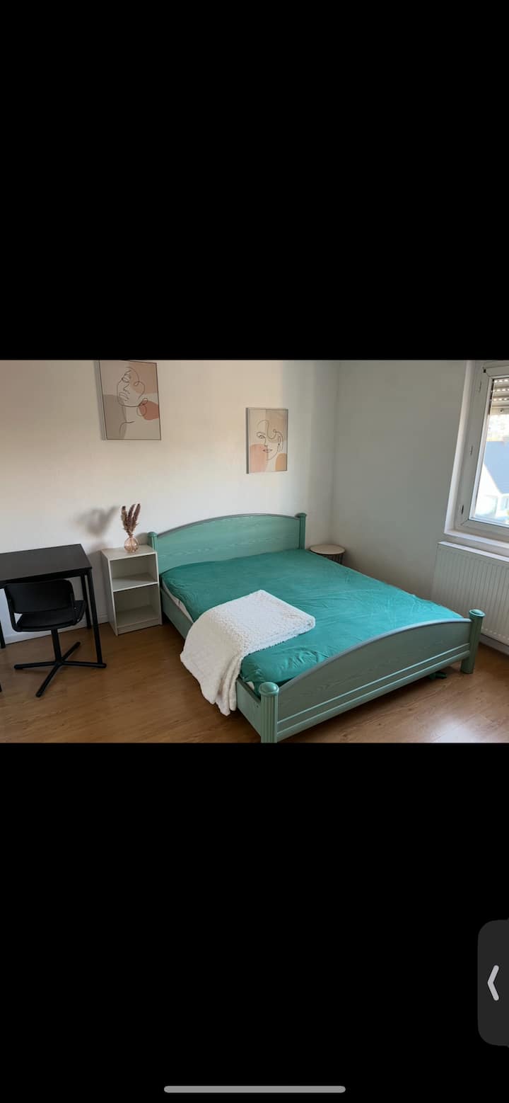 Logement Très Spacieux - Strasbourg