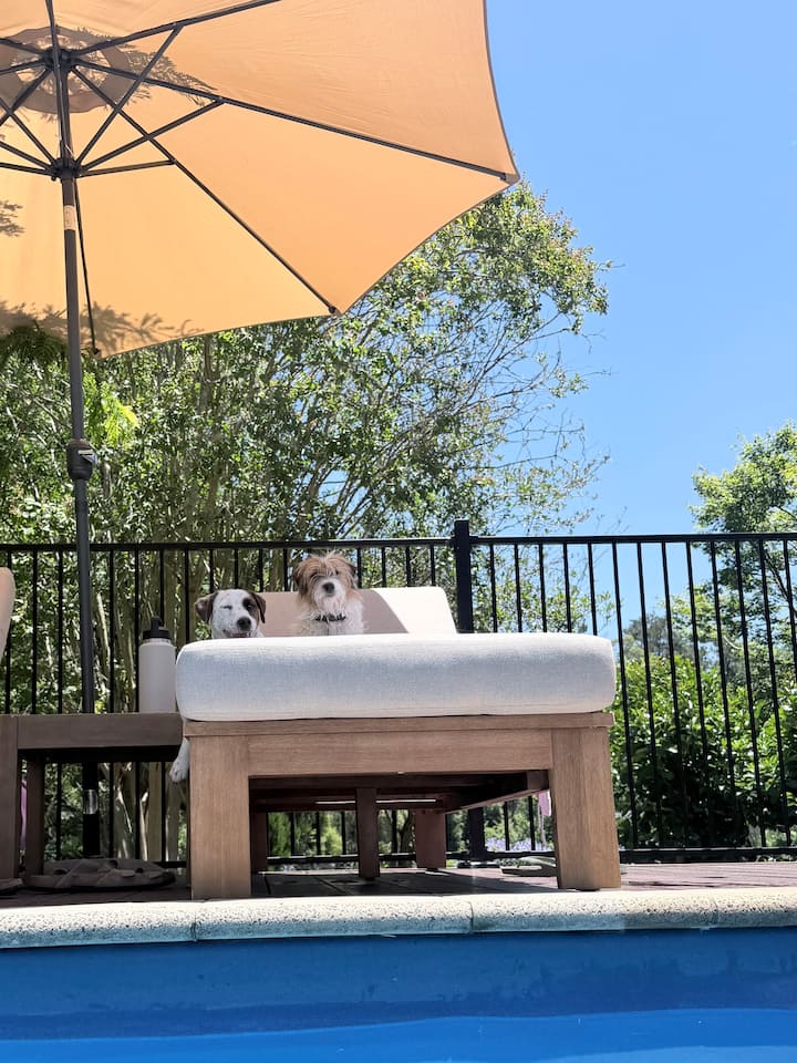 Wyobie Valley View 2, Walk To Kv, Your Dog & Pool - Kangaroo Valley