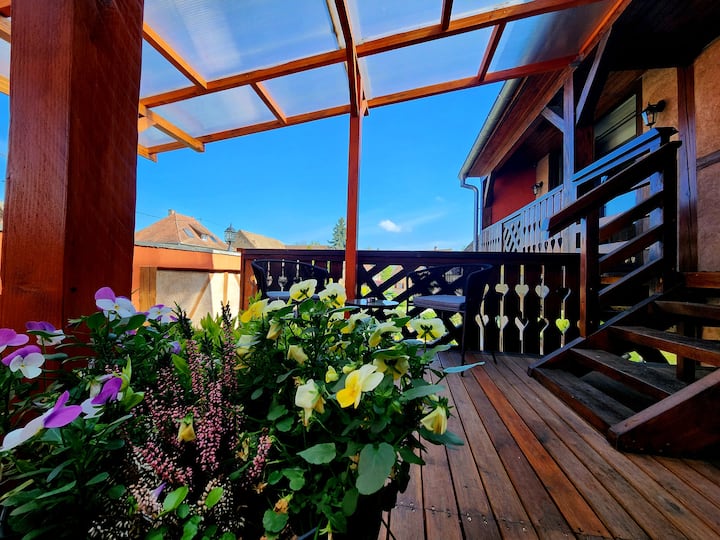 La Bord'o 
Pdj Compris, 
Europa-park à 20min - Alsace