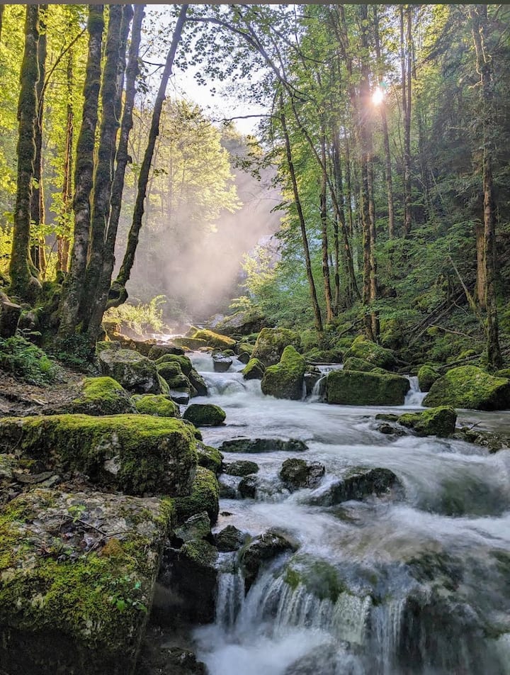 Maison Au Calme Vue Sur Le Jardin - Clairvaux-les-Lacs