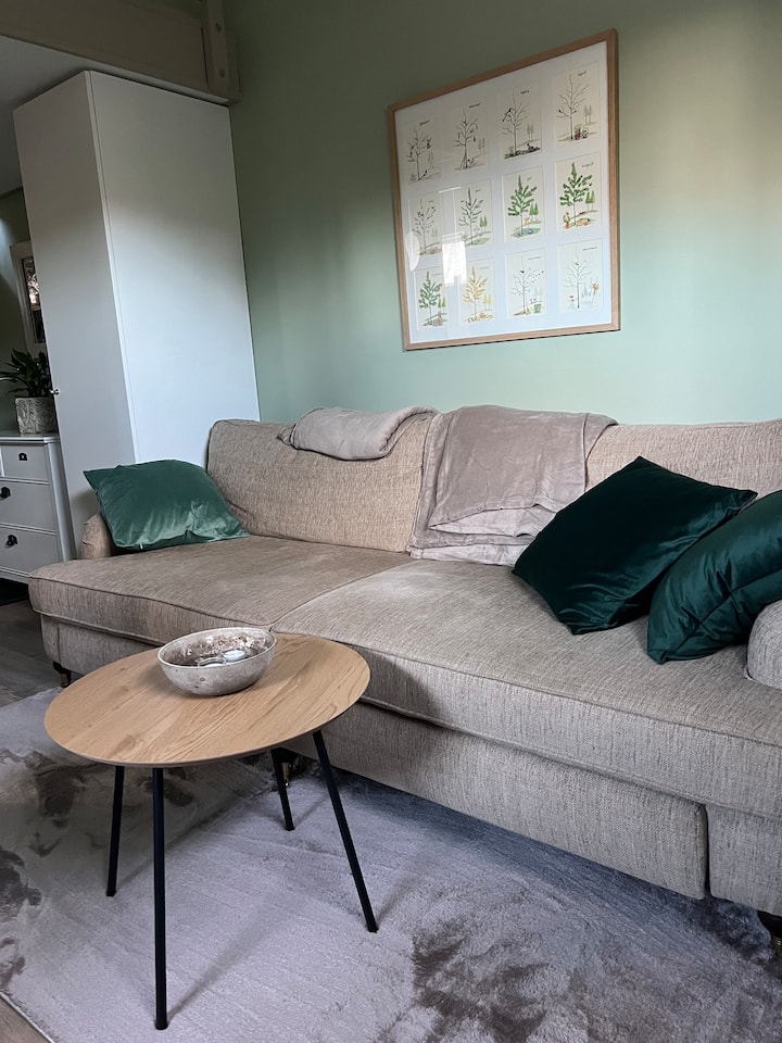 Minihus M Cyklar!
Nära Centrum,klarälven,
Csk Mm - Karlstad