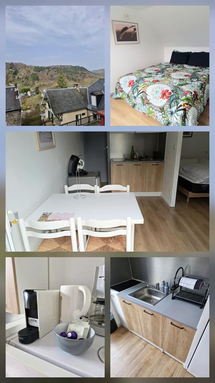 Studio Proche Des Pistes Et Du Centre Ville - Super-Besse