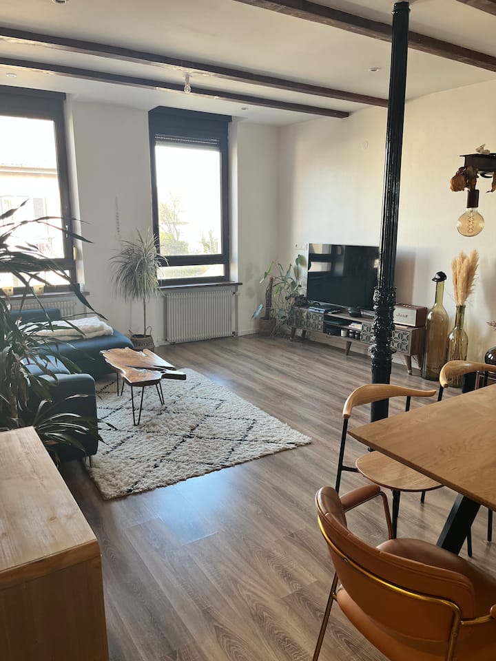 Grand Et Lumineux Appartement / Quartier Robertsau - Vendenheim