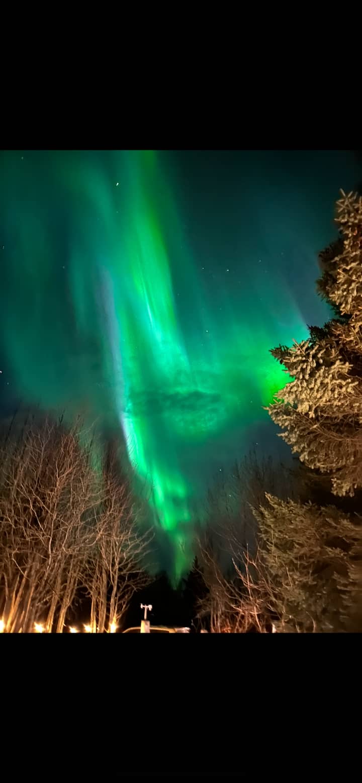 Rein Cabin - Groenlândia