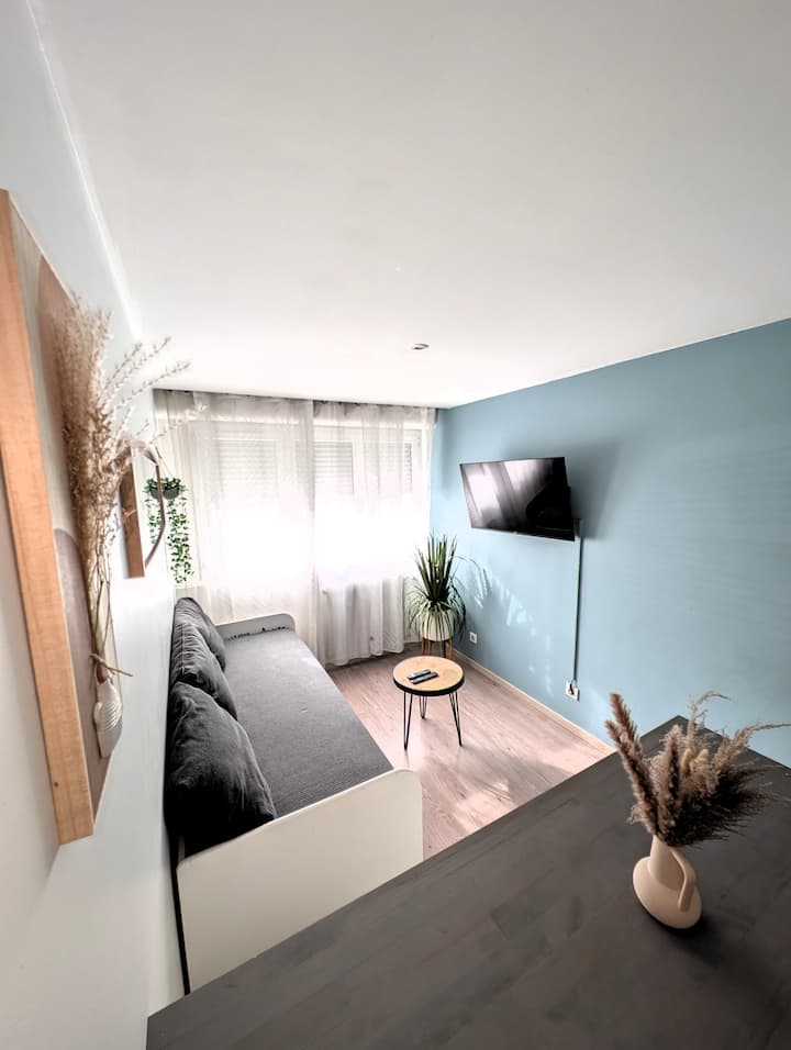 Jolie Appart' T2 Proche Lac Et Gare - Annecy