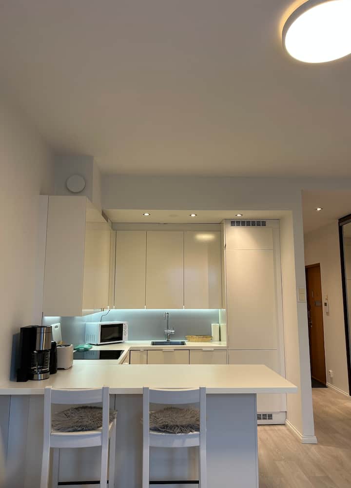 Condo Finlandia - Korkeakulttuurin Sydämessä - Helsinki