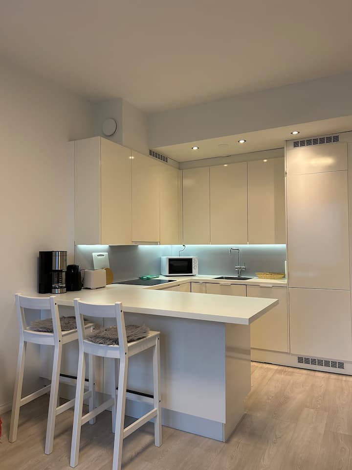 Condo Finlandia - Helmi Korkeakulttuurin Sydämessä - Helsinki