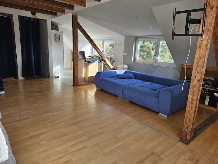 Stilvolle Dachgeschosswohnung Mit Gartenblick - Düsseldorf