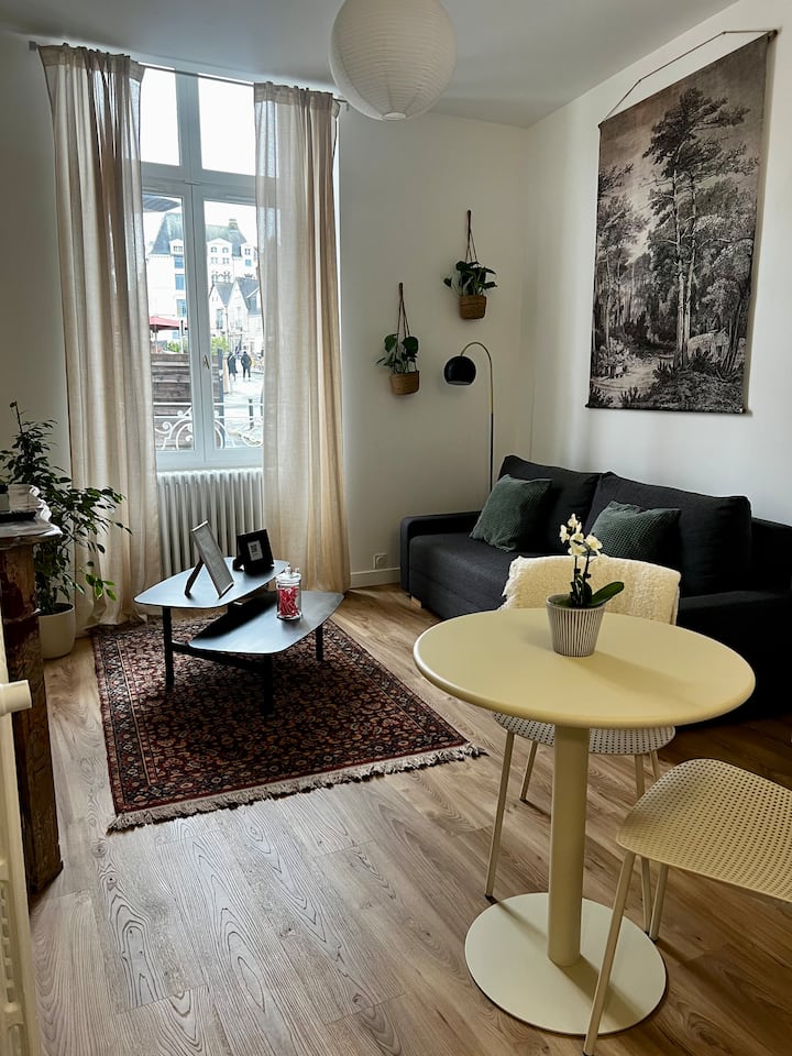 Charmant Appartement Au Cœur De Laval - Mayenne