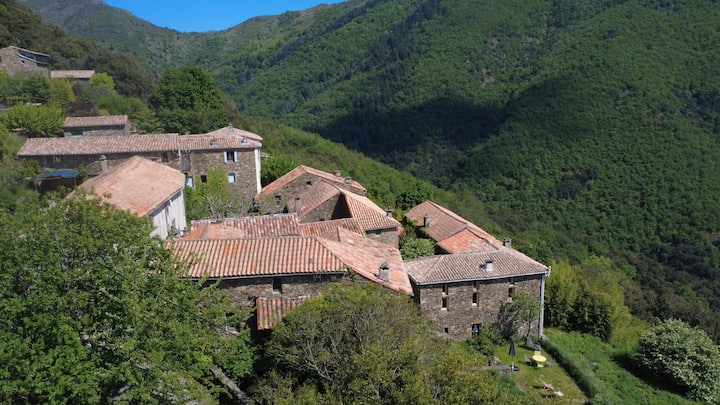 Le Châtaignier - Valleraugue